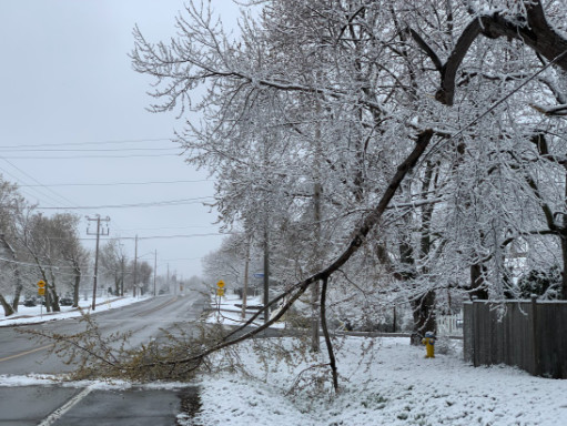 Season rewind: Disruptive spring snow piles up across southern Ontario ...