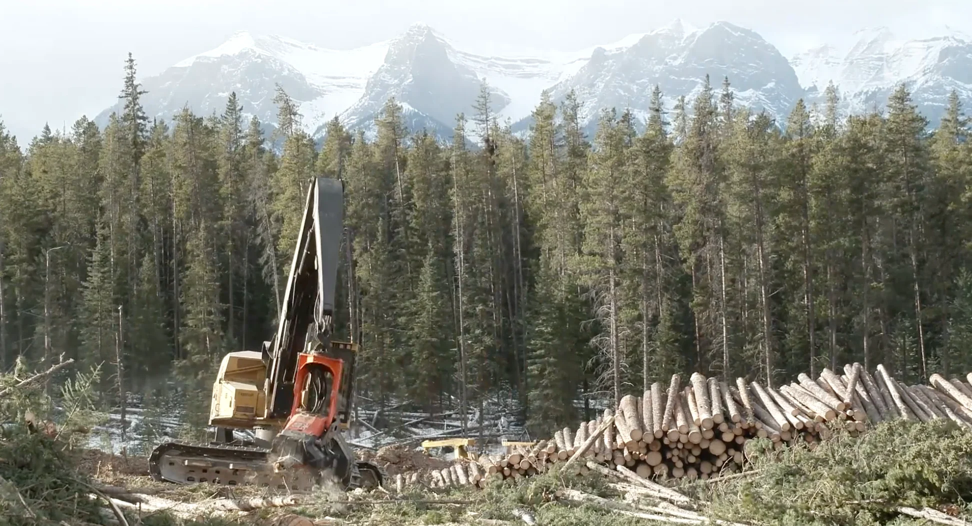 Jasper wildfire damage now estimated at $1.23B — and could go higher ...