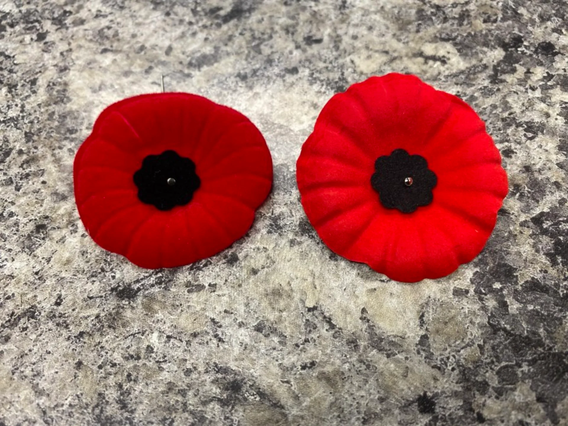 A simple way to weather-proof your poppy and never lose it again - The ...