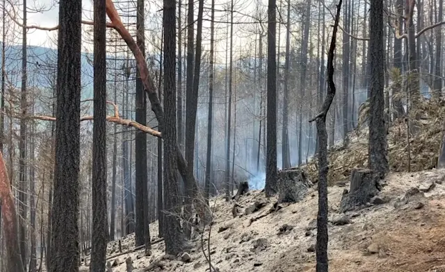 Some evacuees near Wesley Ridge wildfire on Vancouver Island expected ...