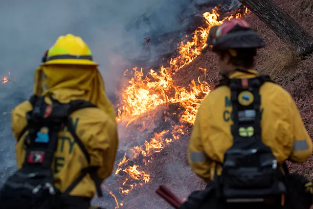 Canadian insured losses from 2024 weather events reach record C$8.5 ...