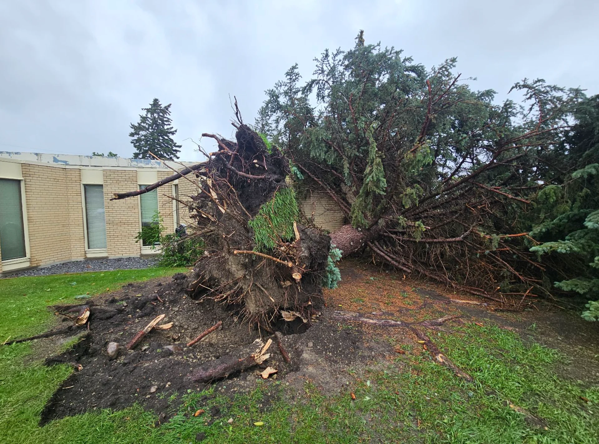 PHOTOS: Supercell hits Calgary area with hail, torrential rains - The ...