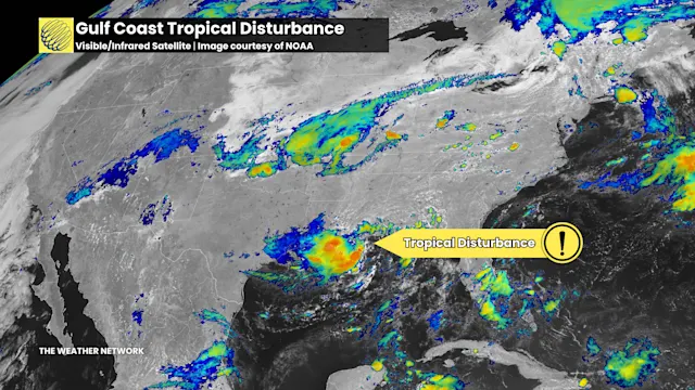 Gulf tropical disturbance brings flash flood risk to millions - The ...