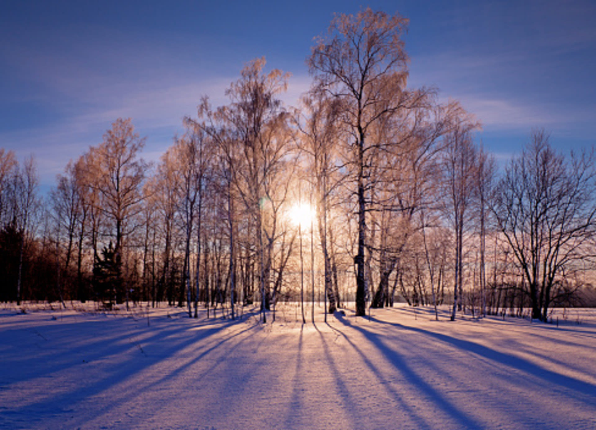 Debunking the myth: Can it ever be too cold to snow? - The Weather Network