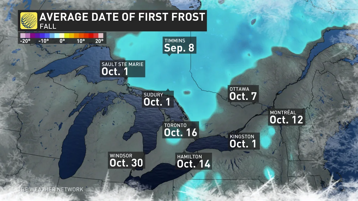Gloomy weather ends the week in southern Ontario ahead of first frost ...