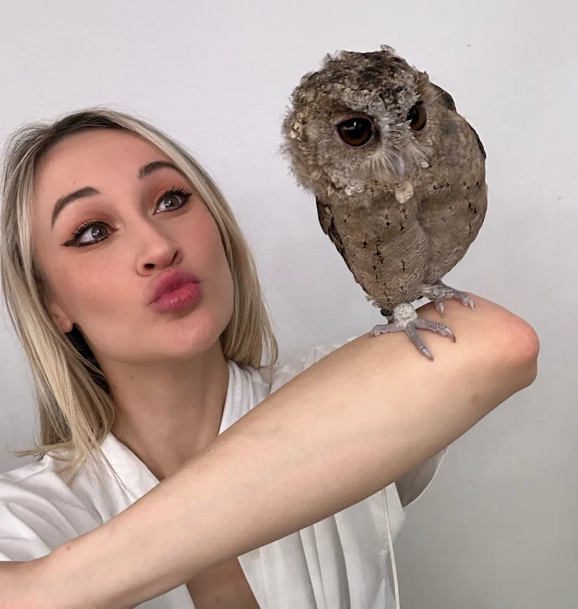 Climate change helping rats thrive in Canada, experts say - The Weather ...