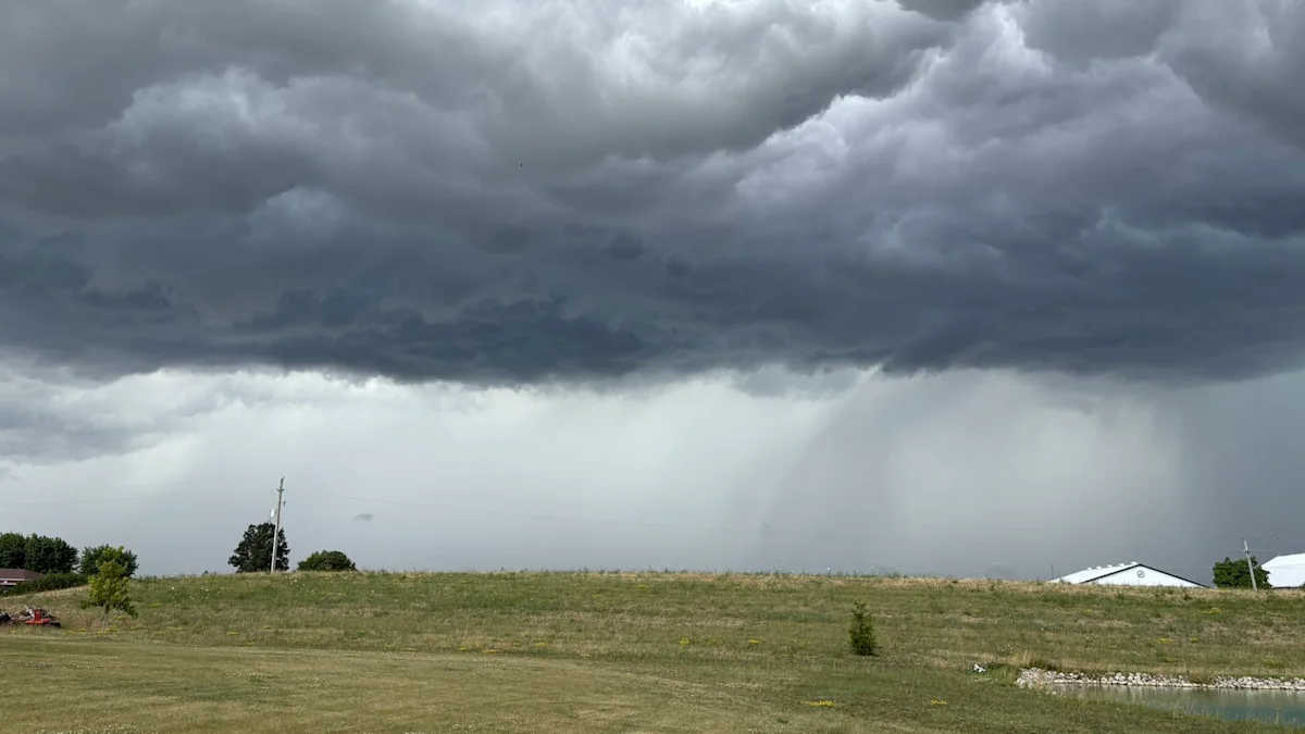 PHOTOS: Severe storms knock down trees, power lines in Ontario - The ...