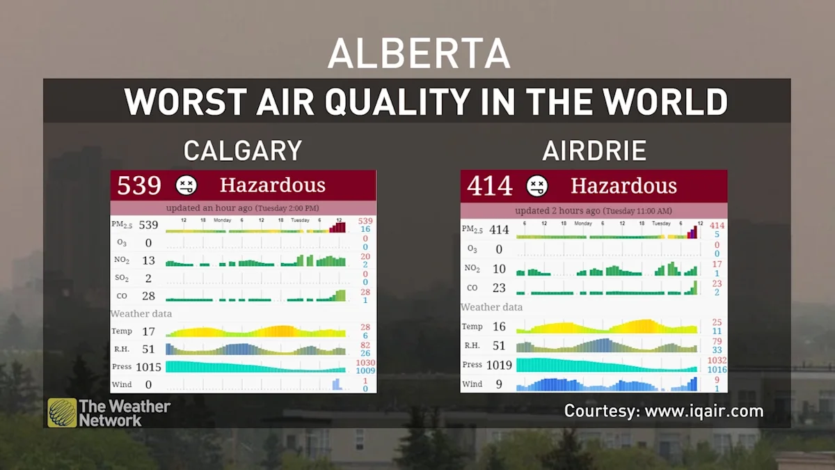 Alberta air quality among worst in the world due to wildfire smoke ...
