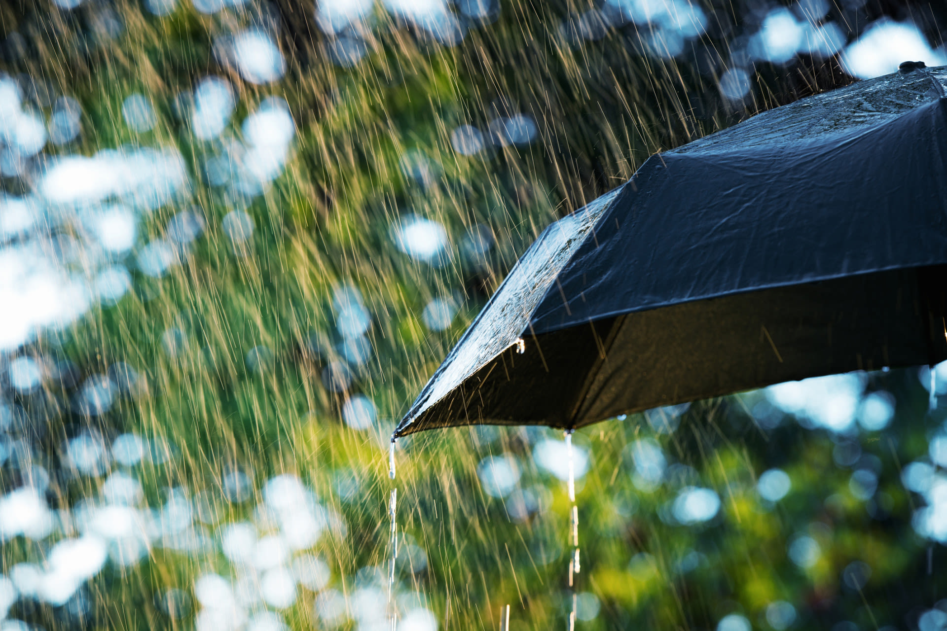 Tomorrow's Weather Vancouver: Clear Skies, Evening Rain Expected - The ...