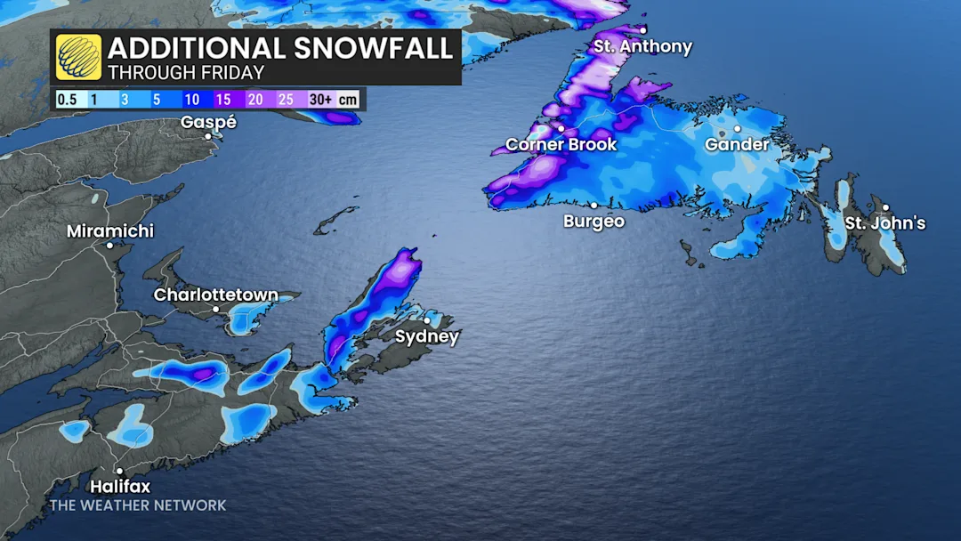 Plane slides off tarmac after landing in heavy snow at Halifax airport ...