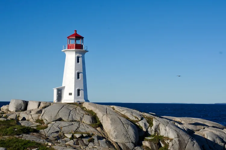 Candid Closeup: Photographer honours iconic symbols of our Maritime ...