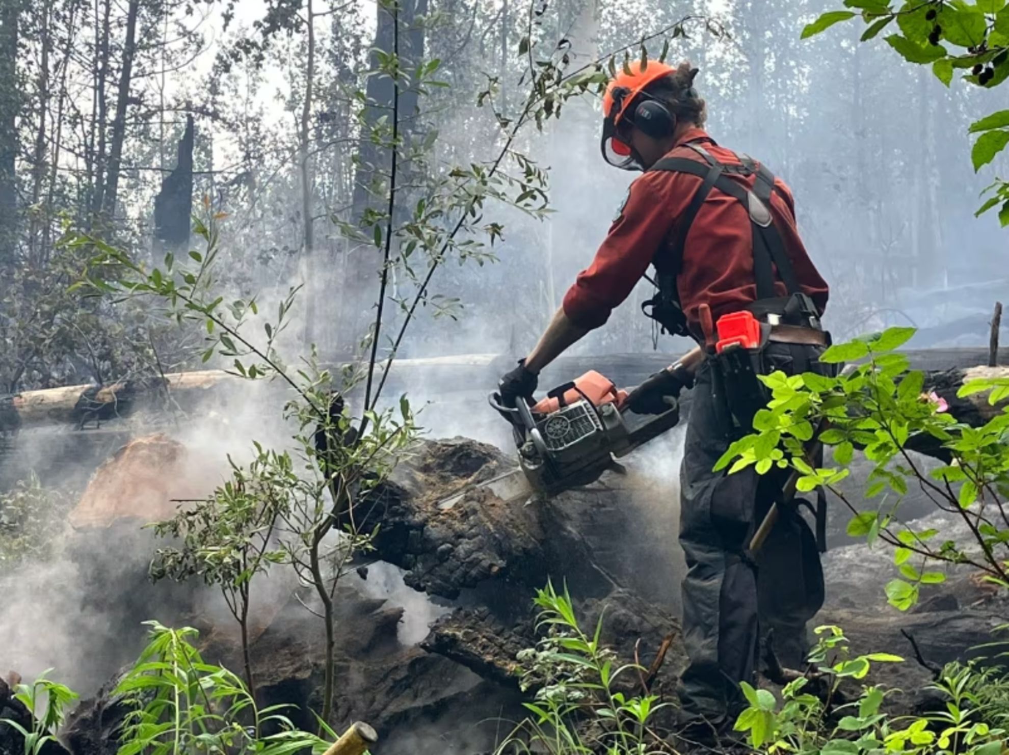 Dozens of Shuswap residents join firefighting crews after training ...