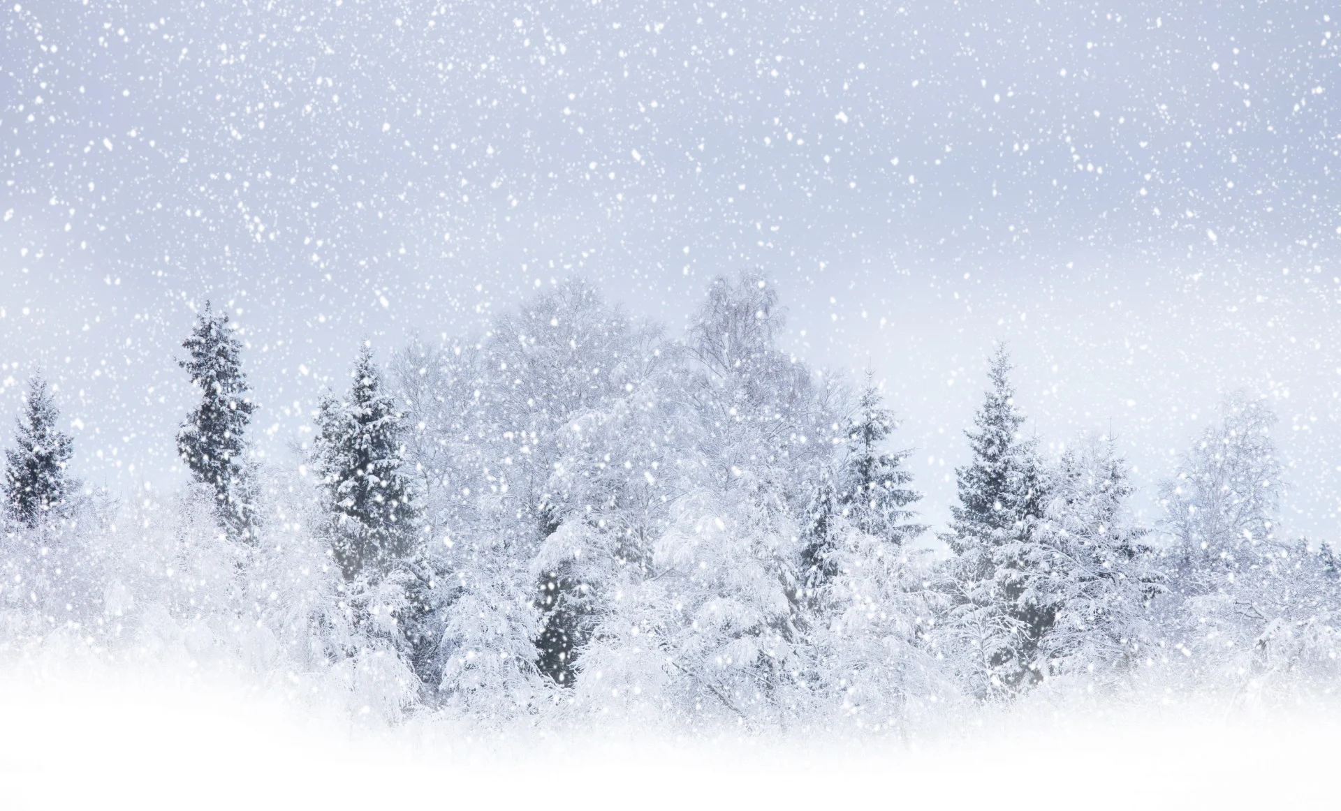 Timmins's weather forecast for November 26: Snowfall expected ... Timmins's weather forecast for November 26: Snowfall expected ...