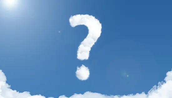 One surprising theory behind Newfoundland's mystery blobs - The Weather ...