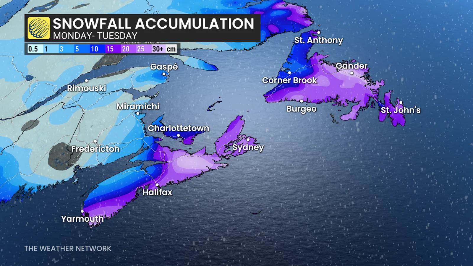 Weekend snow preludes strong nor'easter on East Coast - The Weather Network