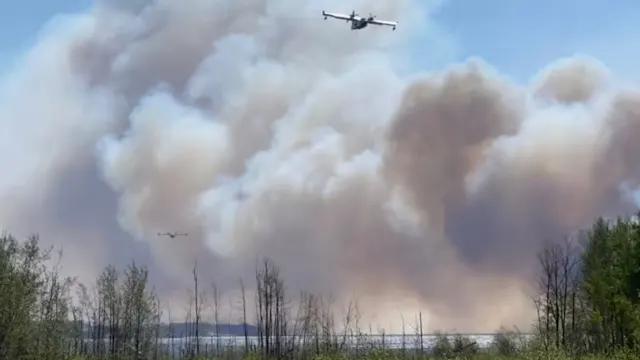 Public advised to not go near Besnard Lake, Sask., due to intense fire ...