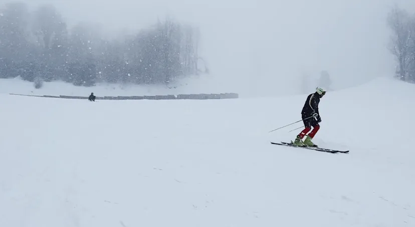 Powder, crust, slush or ice? How to adapt your skiing to the weather ...