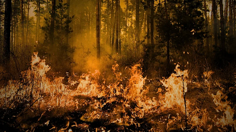 South Whiteshell Provincial Park cottagers flee, fire moves from ...