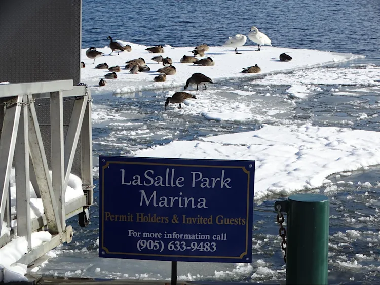 The unsung hero behind one of Canada’s greatest wildlife comeback ...