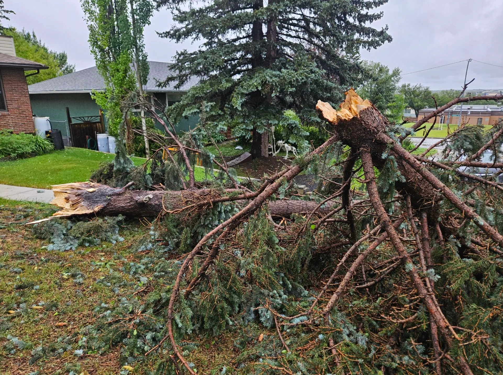 PHOTOS: Supercell hits Calgary area with hail, torrential rains - The ...