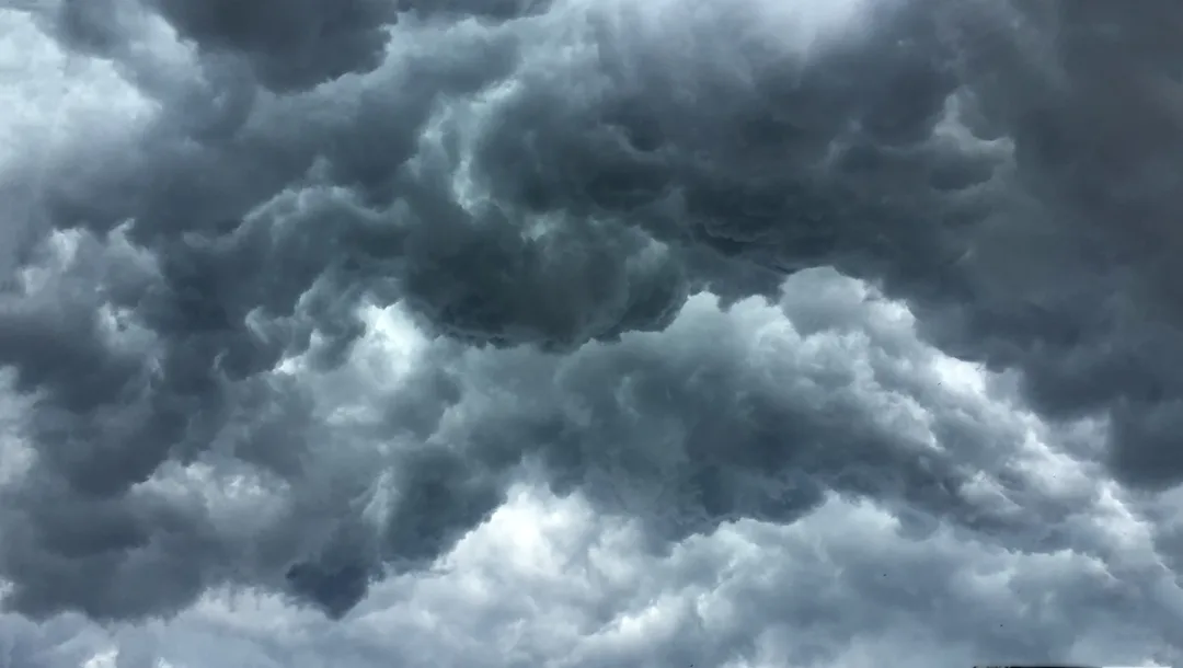 Wainfleet's weather forecast for December 11: Cloudy with showers and ...