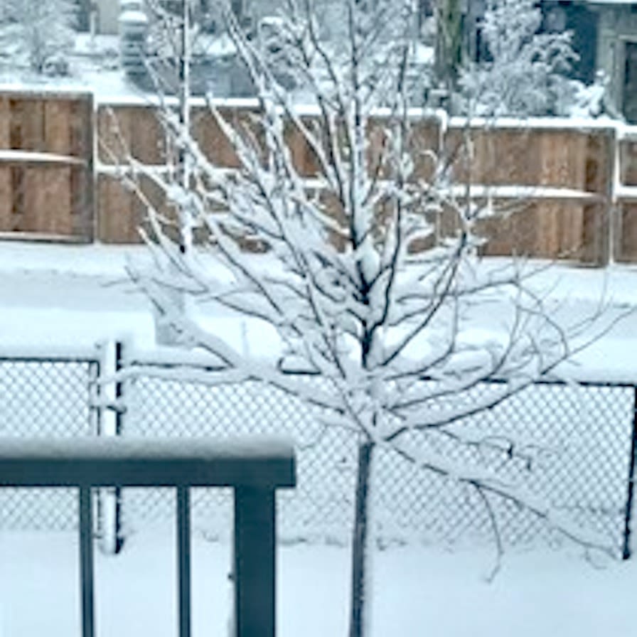 Alberta's first snowfall of the season may lead to hazardous travel ...