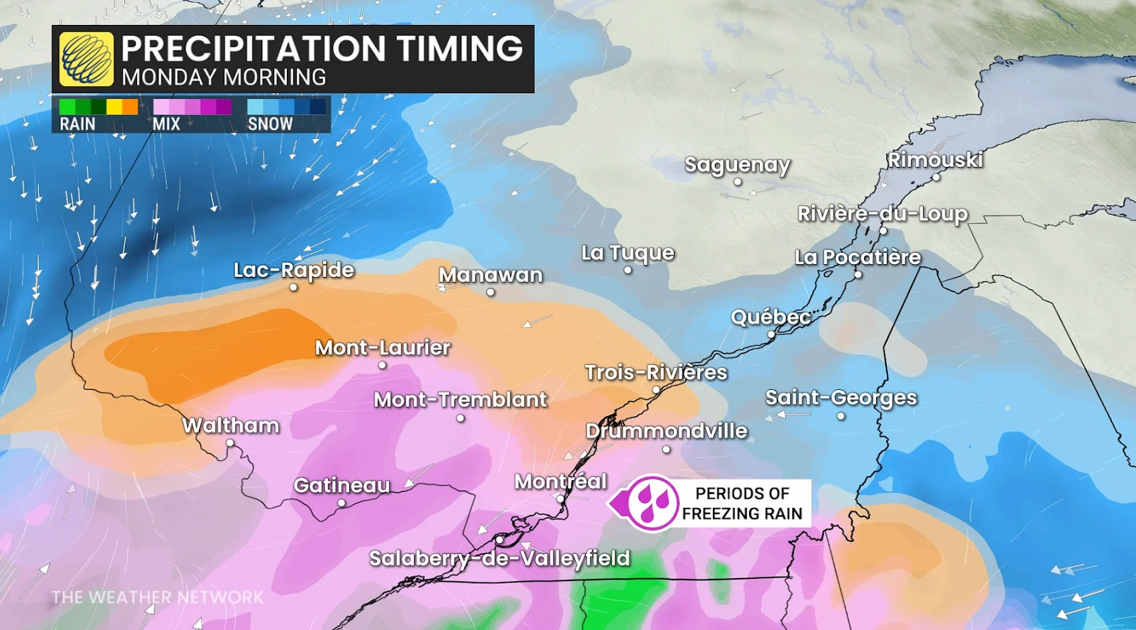 High-impact winter storm set to hit southern Quebec - The Weather Network