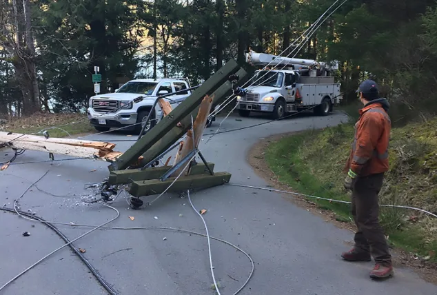 How to stay safe after a live power line falls on your car - The ...