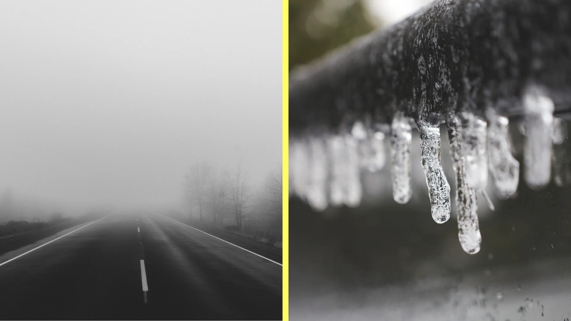Brace for freezing rain, dense fog across southern Ontario on Monday ...