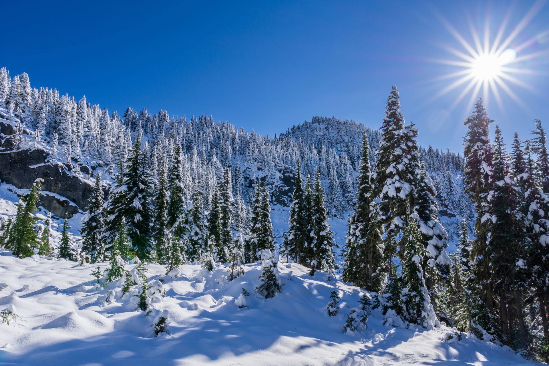 Significant avalanche threat builds in B.C. as big warmup arrives - The ...