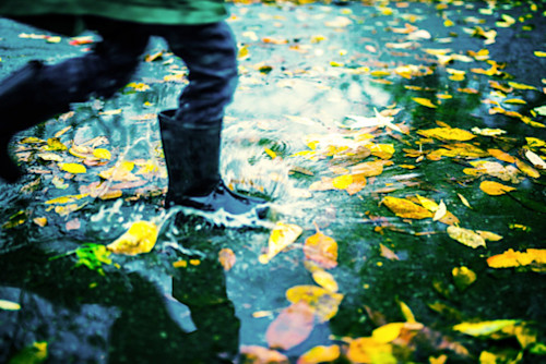 Storms, rain kick off the weekend in Ontario followed by an autumnal ...