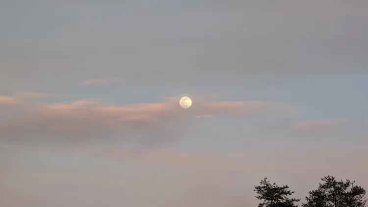 Why the stars twinkle so brightly in your dark winter skies - The ...