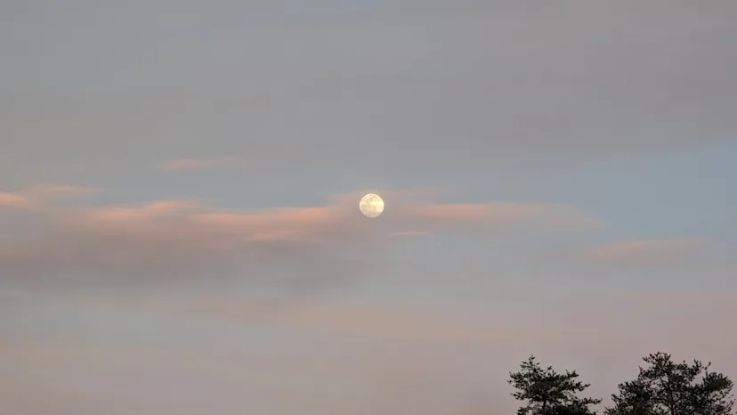 Why the stars twinkle so brightly in your dark winter skies - The ...