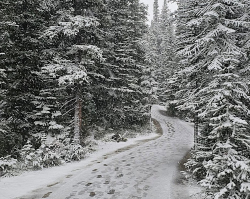 Snow creeps lower in Alberta as chilly air settles over region - The ...