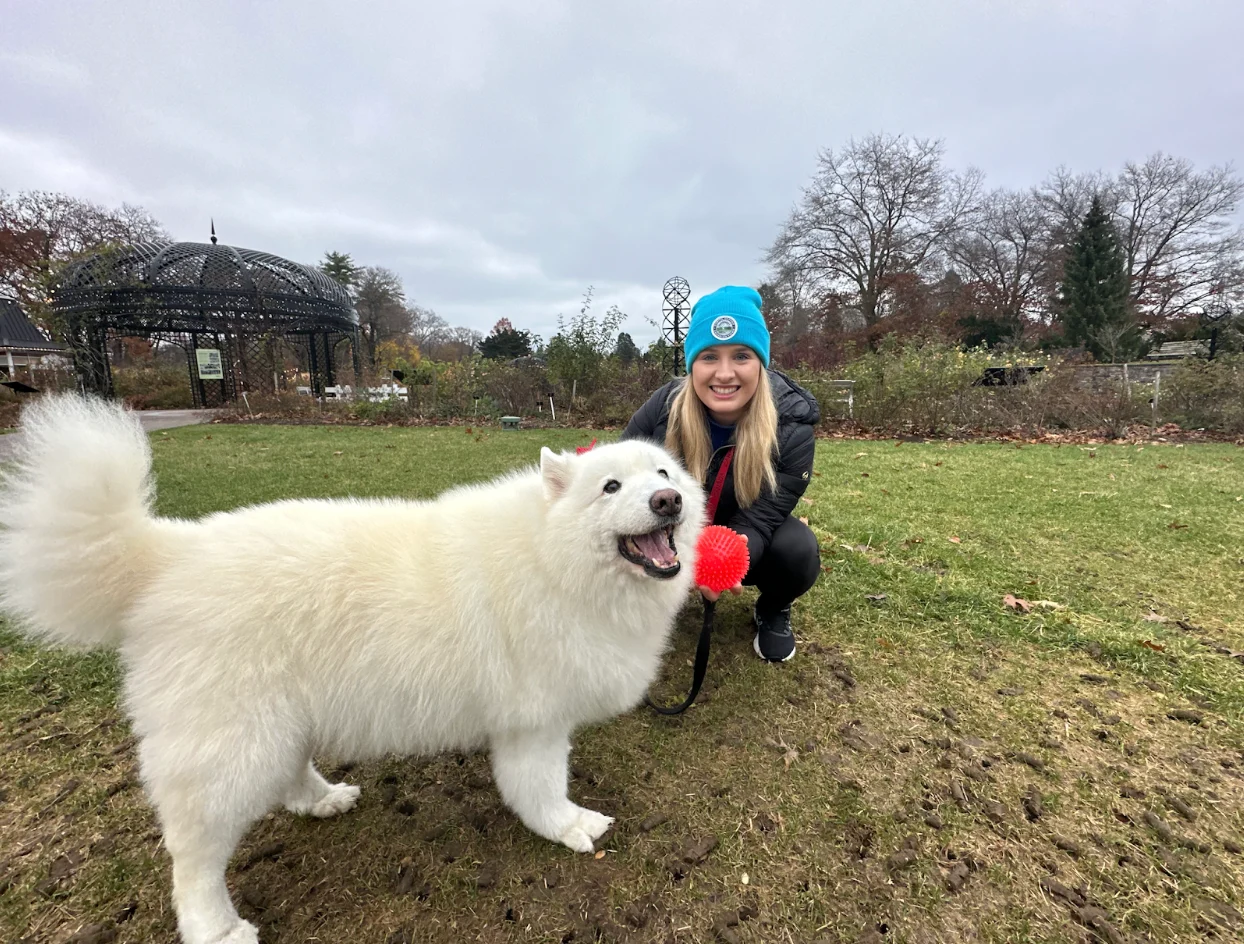 If it's too cold for you to be outside, it's too cold for your pets ...