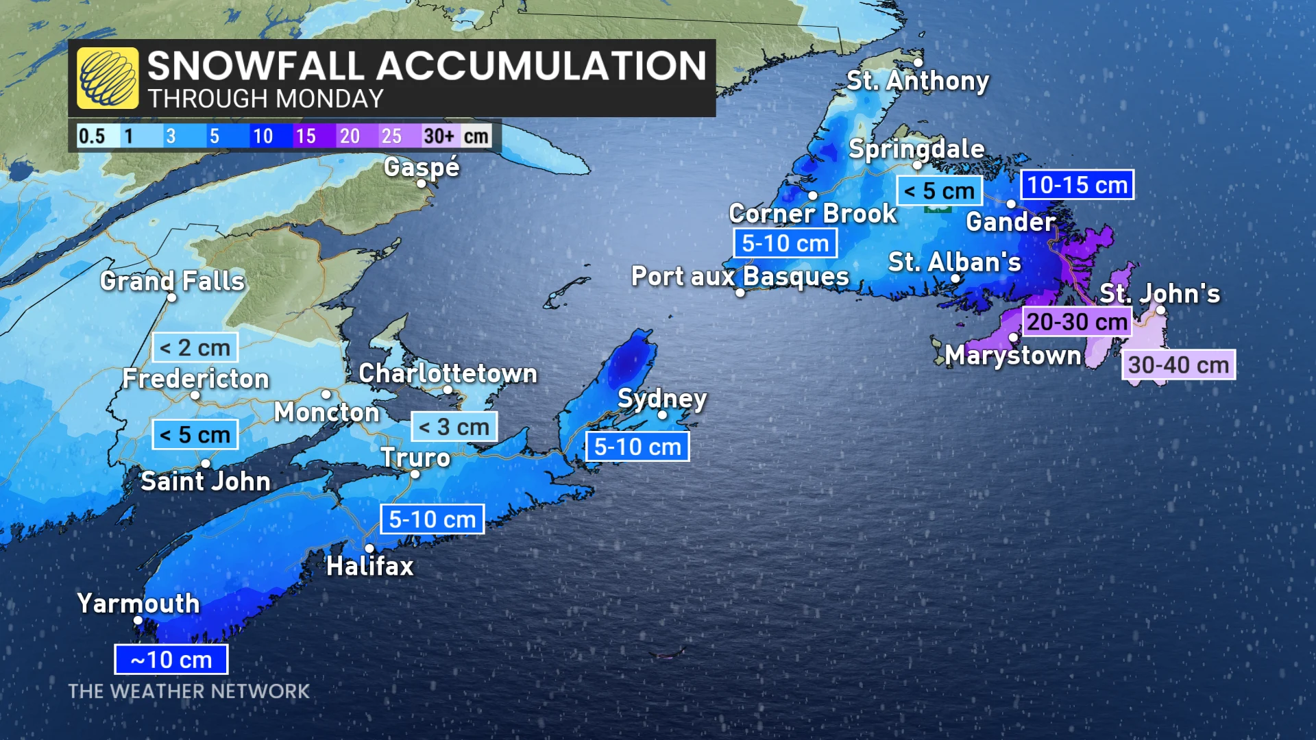 Blizzard conditions across Newfoundland as Nor'easter dumps up to 40 cm ...