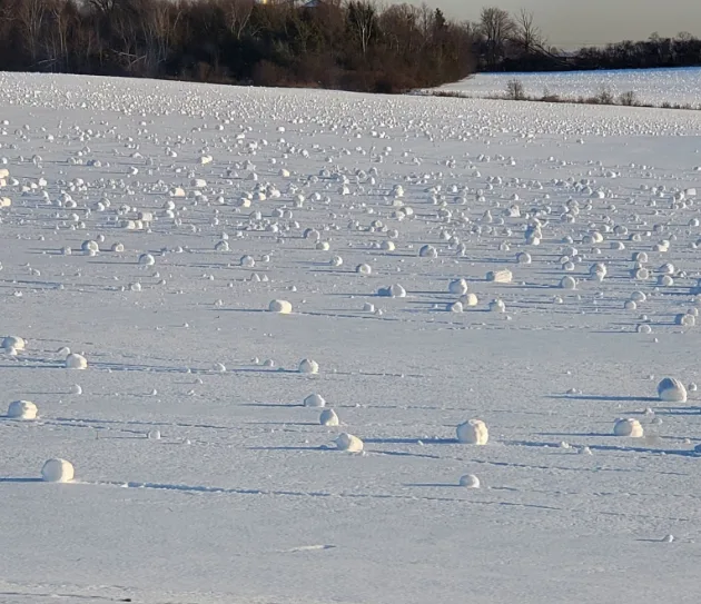 Snow laughing matter: Why you should never eat snow - The Weather Network