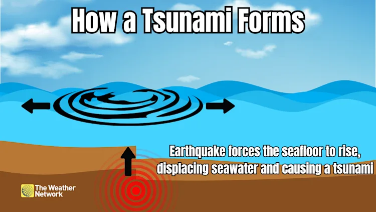 What is a tsunami? How these powerful waves spell coastal danger - The ...