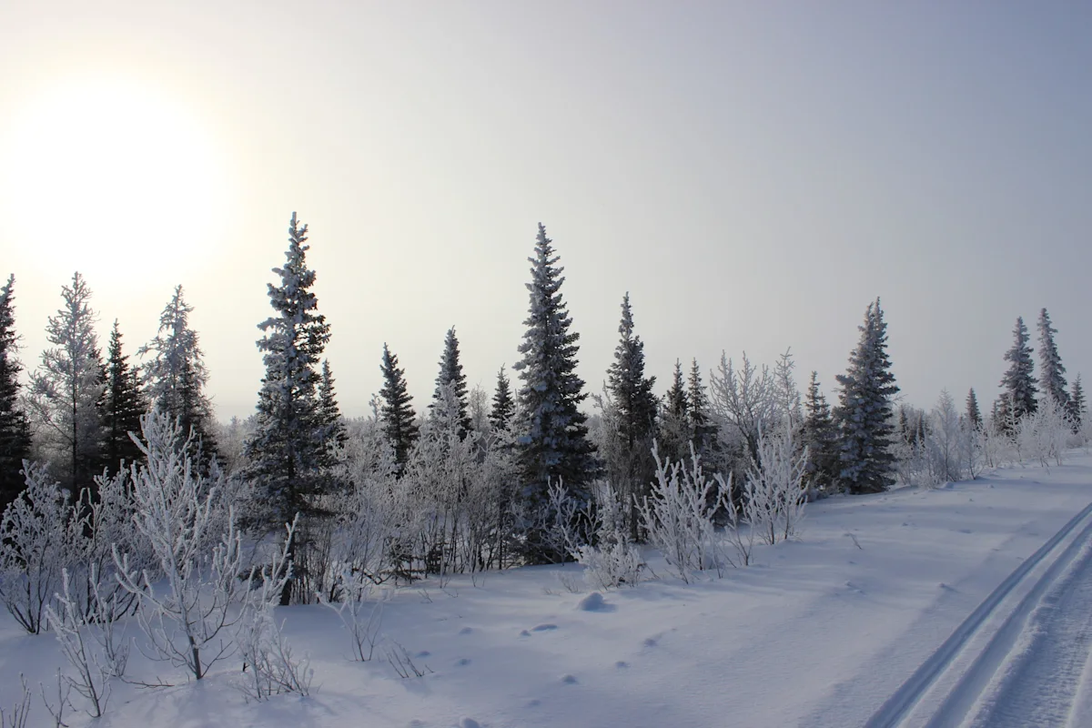 A new record, spring brings Ontario its coldest winter temperature ...