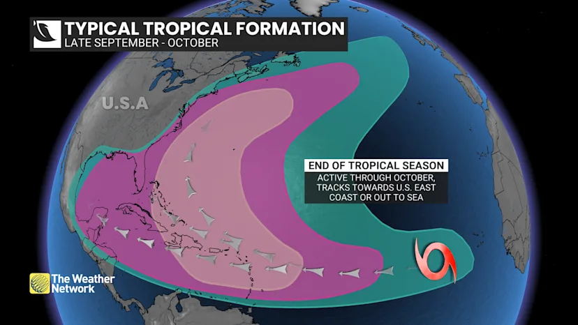 Canada's 2024 Fall Forecast: Will autumn end with a free fall into ...