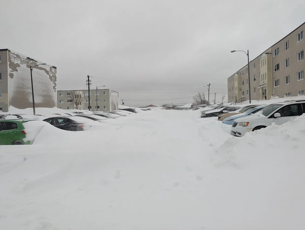 N.L. winter storm buries previous March snowfall record for St. John's ...