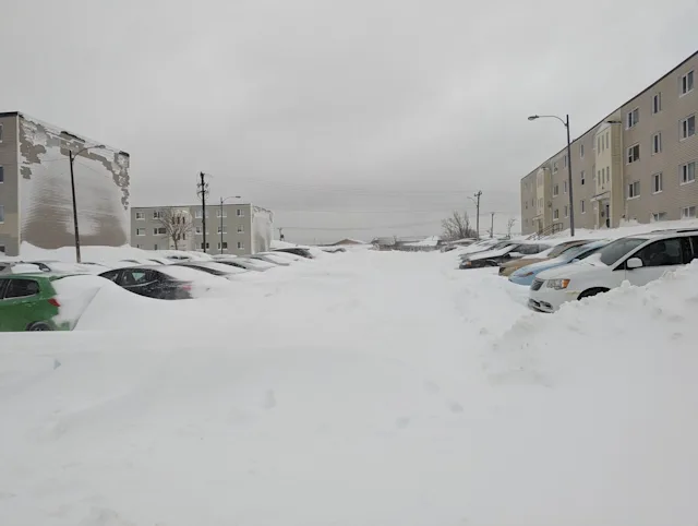 N.L. winter storm buries previous March snowfall record for St. John's ...