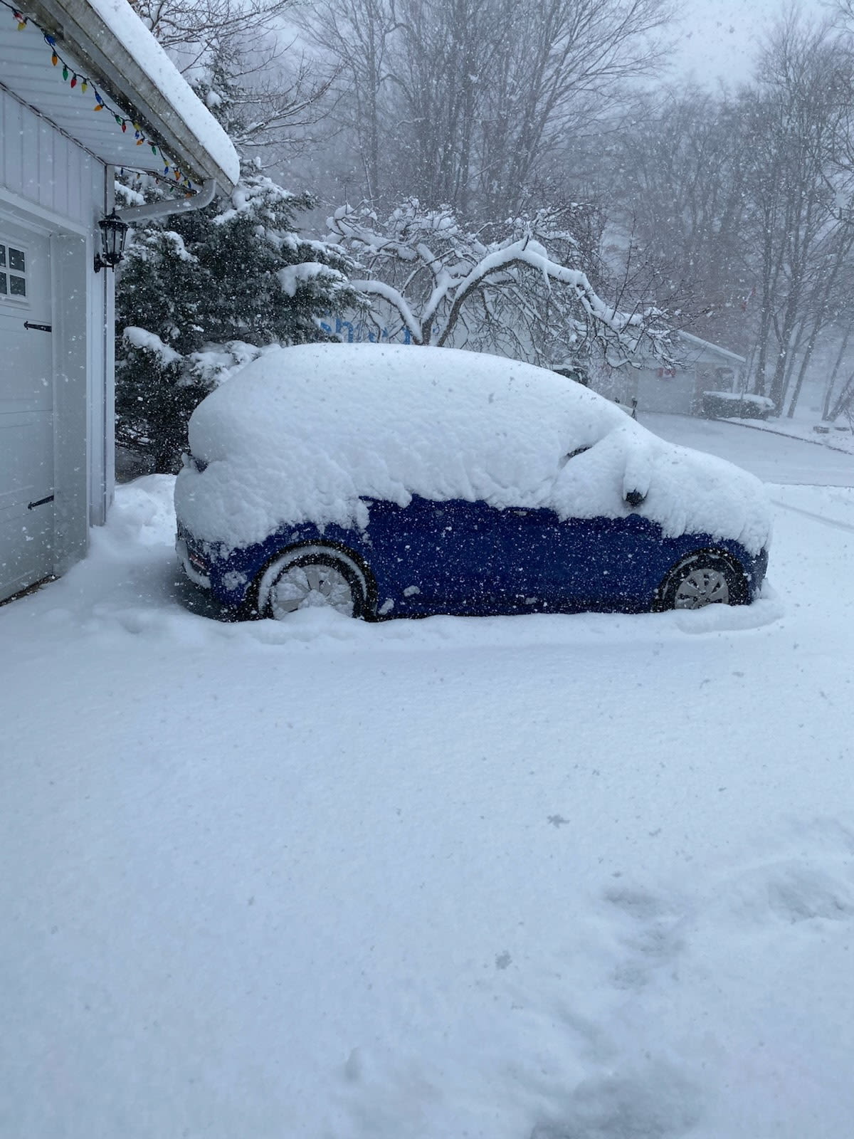 Severe November snow squalls impact southern Ontario - The Weather Network