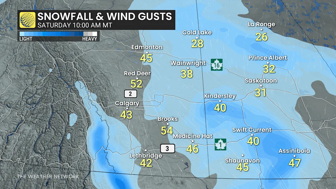 Blizzard warnings issued in Alberta Saturday - The Weather Network