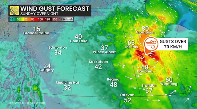 Snowy, blustery system rolls across Prairies into Thanksgiving - The ...