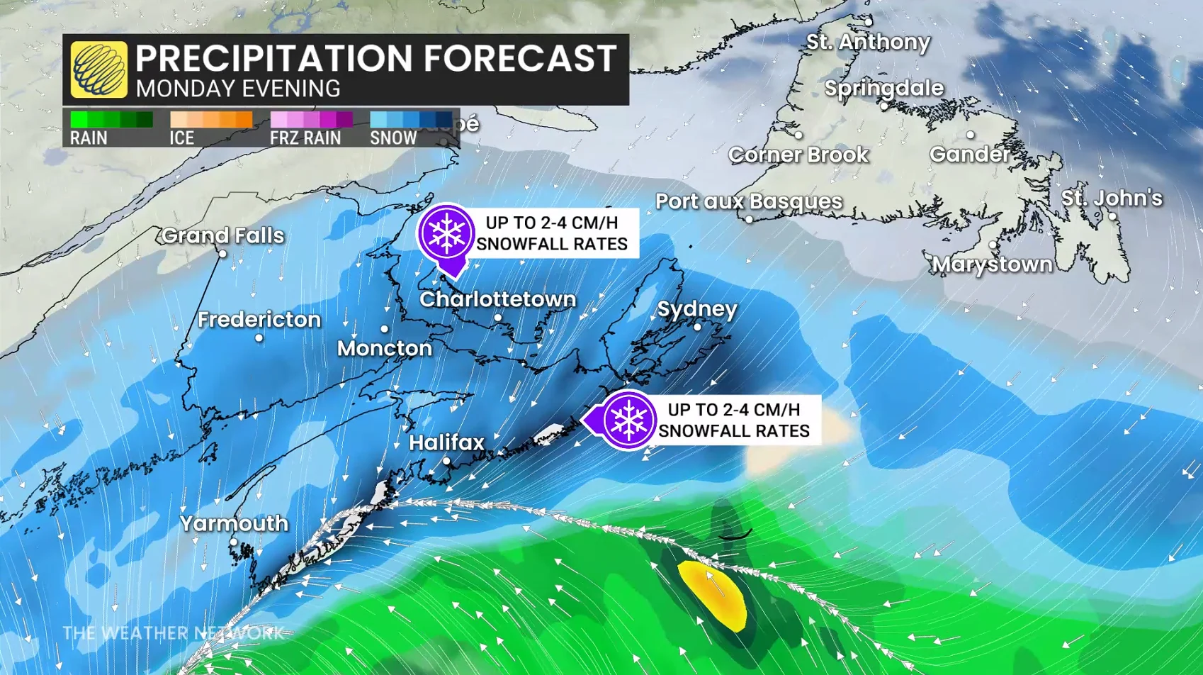 15-40 cm: Disruptive nor'easter to hit the East Coast with hefty snow ...