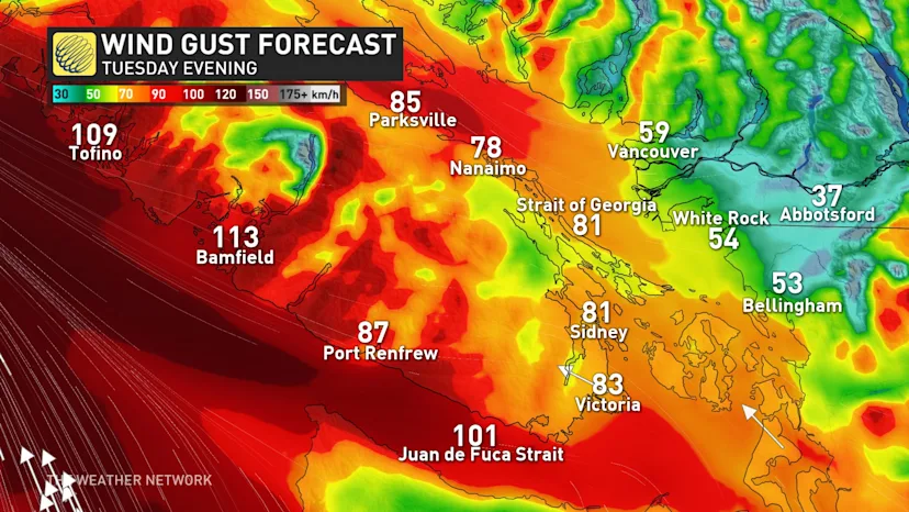 Deep, intensifying bomb cyclone likely to give B.C. a disruptive wallop ...