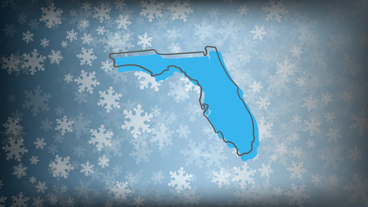 Snow in Florida? The rare storms that hit the Sunshine State - The ...