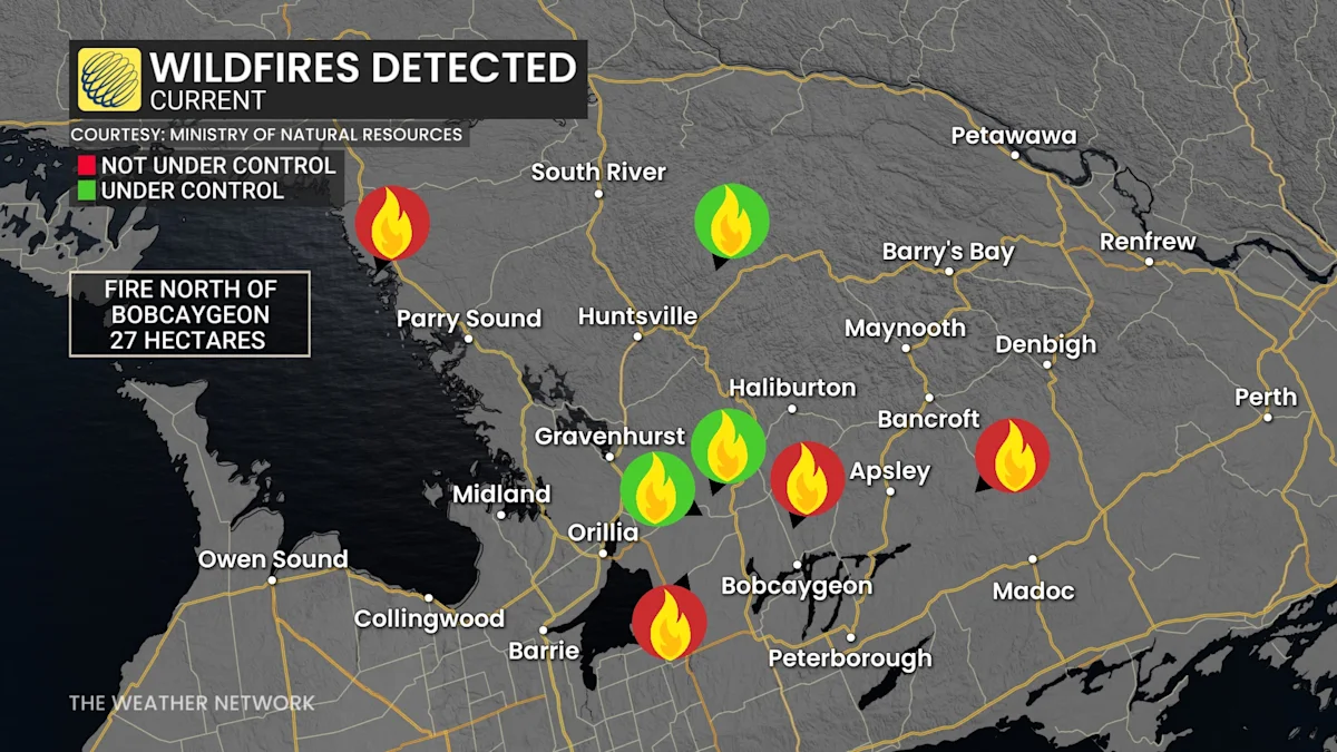 Parts of Ontario to see some heat, rain reprieve but comes with storm ...
