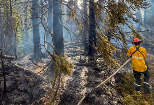 One-third of structures in Jasper damaged by massive wildfire - The ...